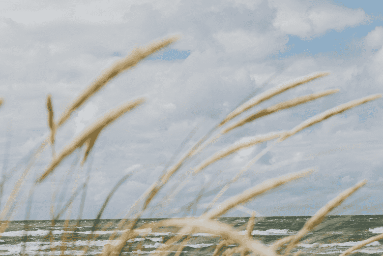 Sophia Code Foundation: Empowerment via Kaia Ra Sedona